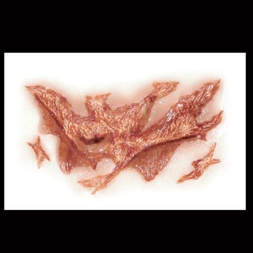 Sore Throat Wound For Halloween Makeup - Tinsley Transfers